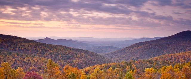 National Virginia Day - Exit Ninety Two