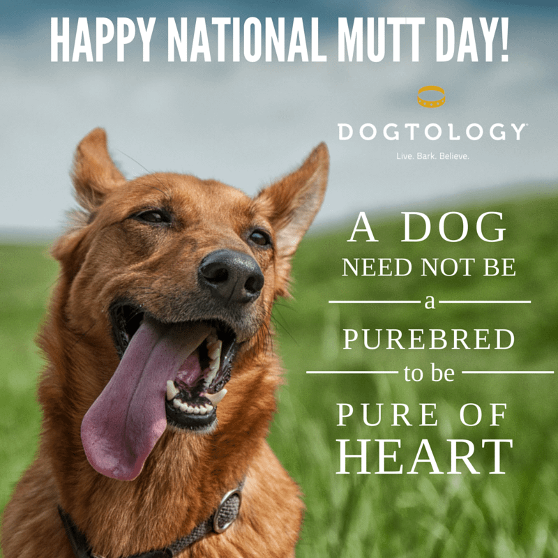 National Mutt Day - Exit Ninety Two